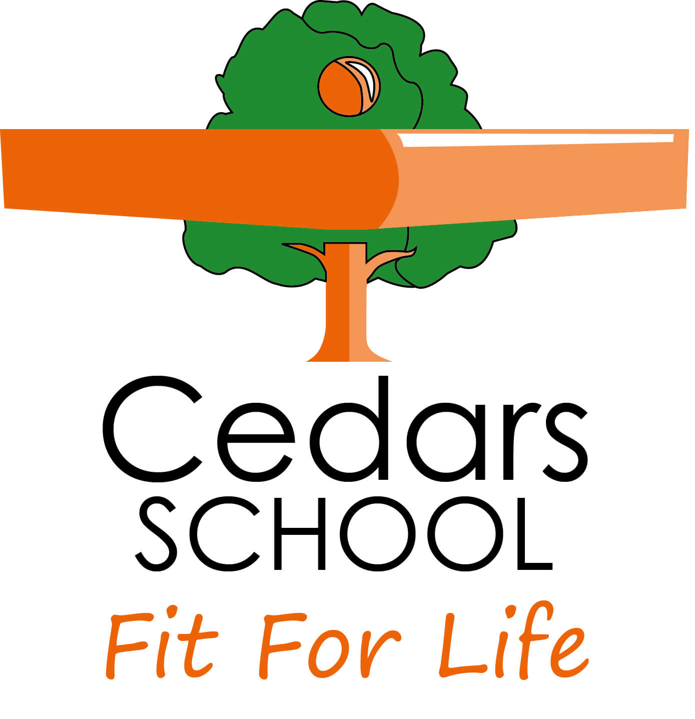 Understanding learners with spiky profile autism - Autism Progress